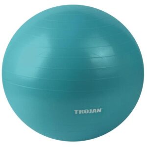 Trojan TR310 Treadmill – Jhon
